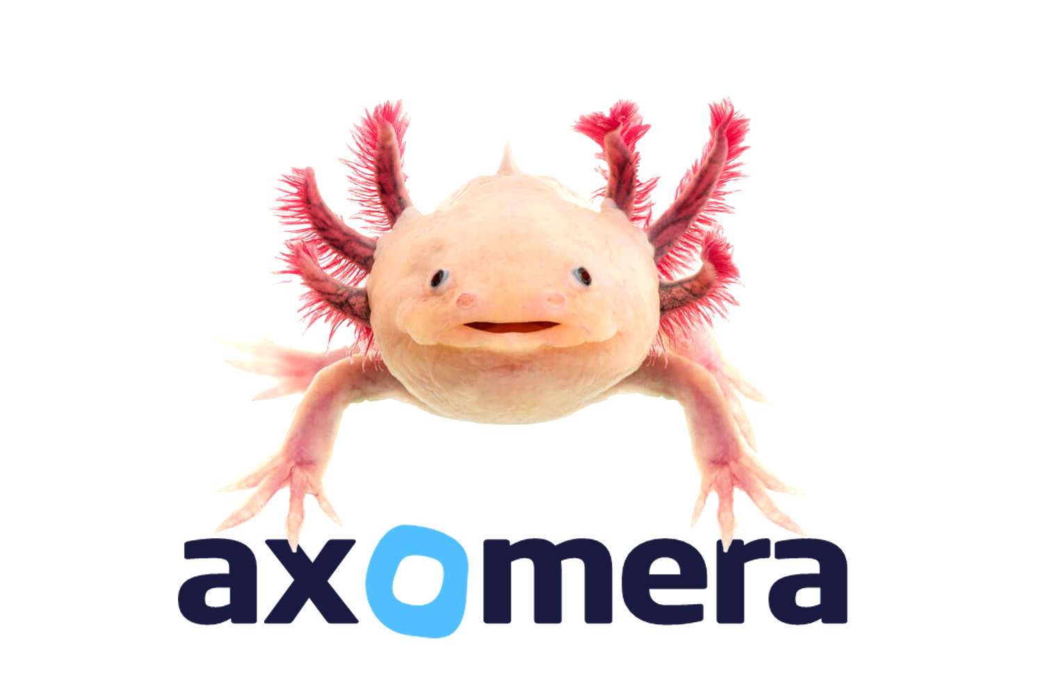 Orthopädie Trapp – Dr. med. Christian Trapp – orthopädische ...